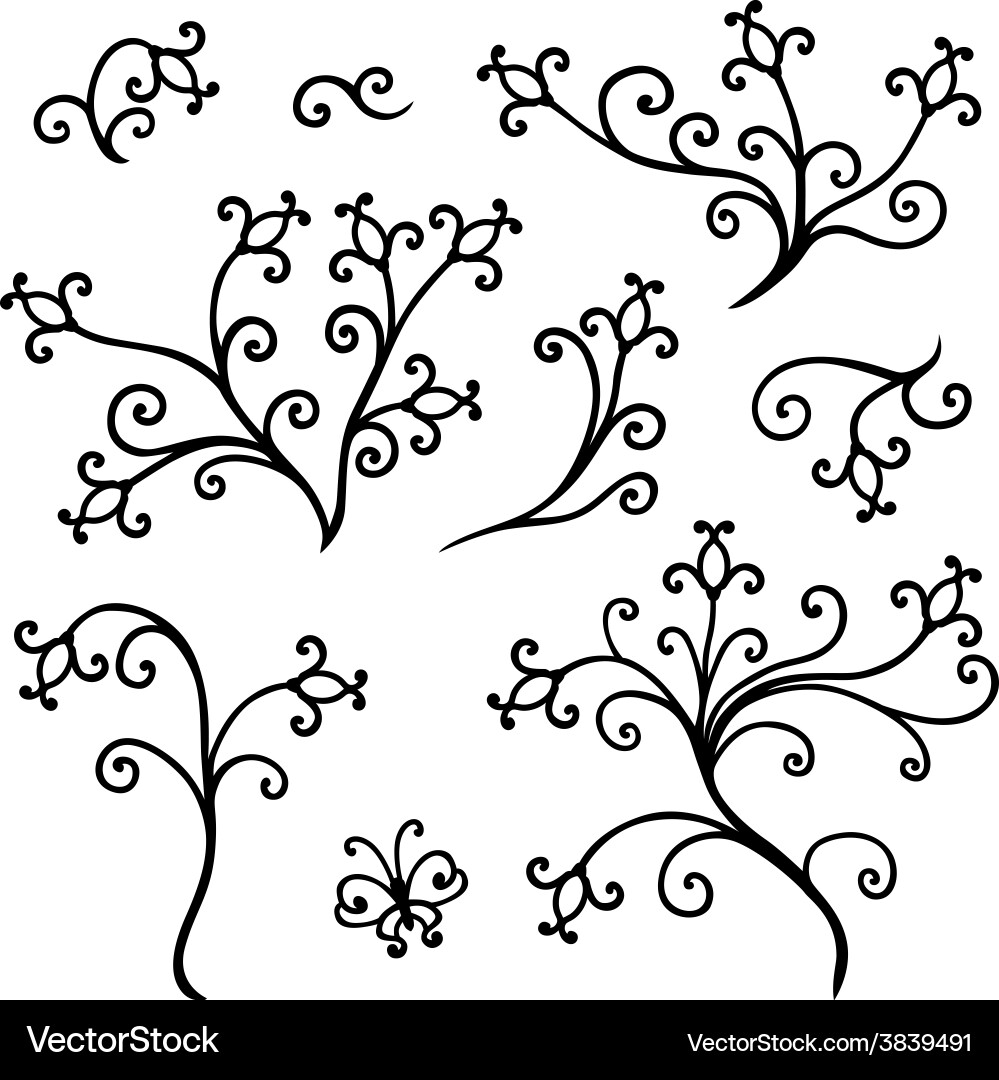 Floral element Royalty Free Vector Image - VectorStock