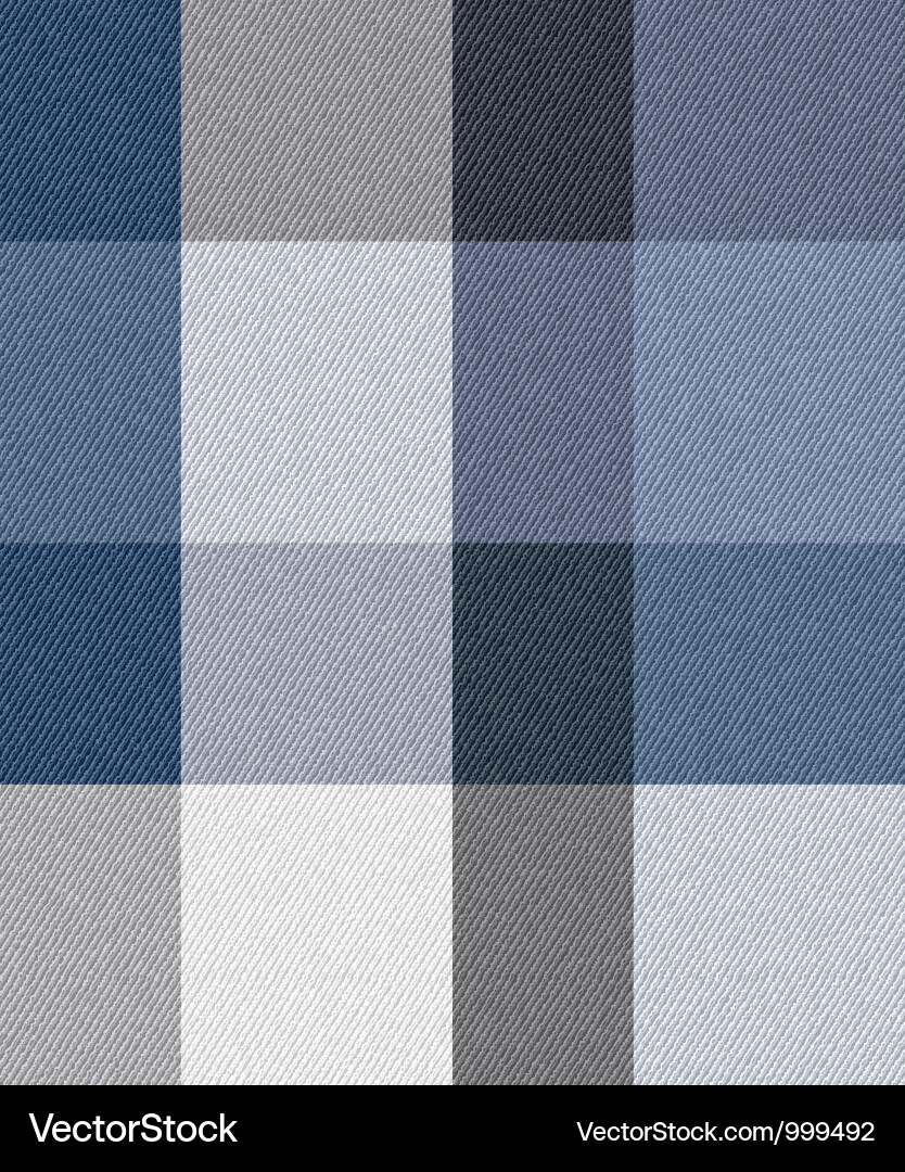Blue check fabric Royalty Free Vector Image - VectorStock