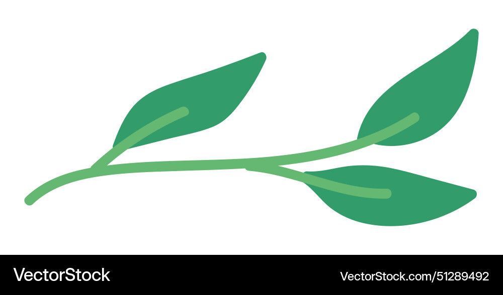 Green leaves on twig in flat design botanical Vector Image
