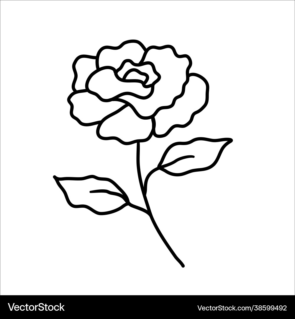 Simple rose flower beautiful single Royalty Free Vector