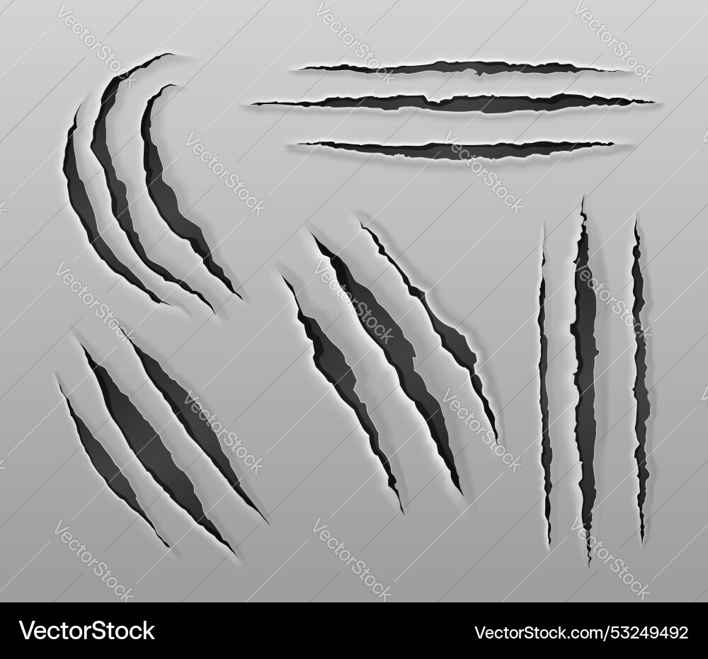 Tiger claw scratch on paper bear paw mark Vector Image