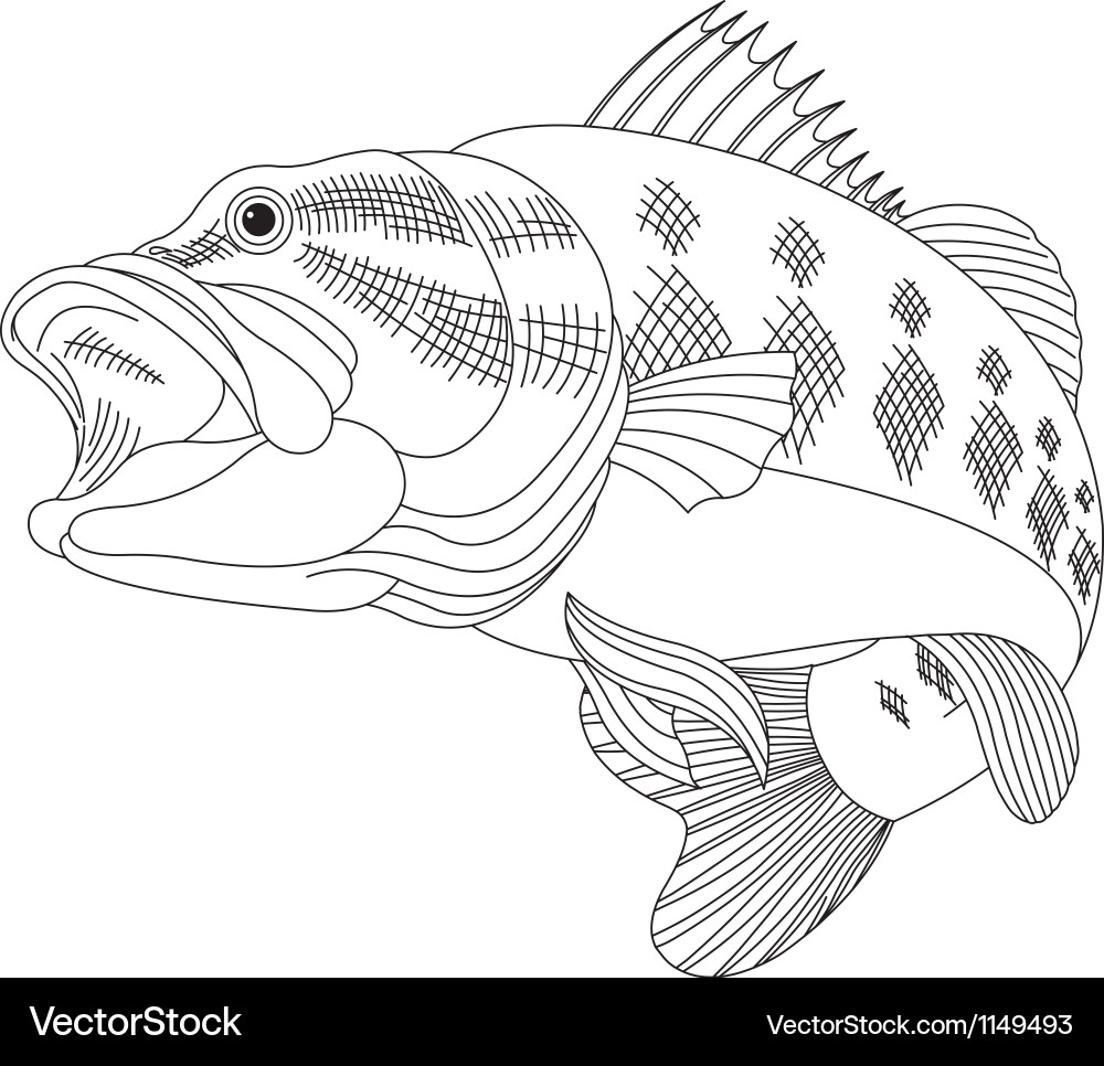 Leaping bass Royalty Free Vector Image - VectorStock