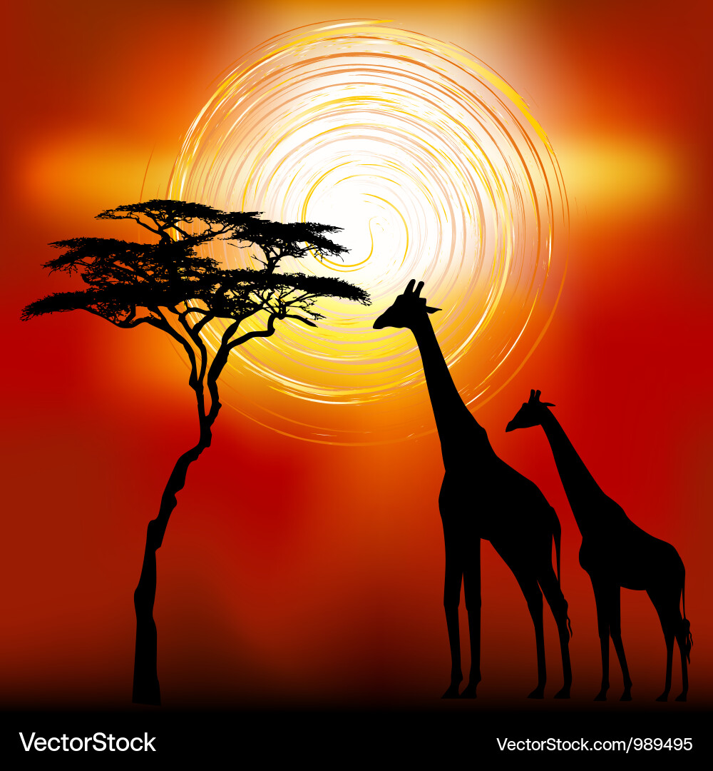 African landscape Royalty Free Vector Image - VectorStock
