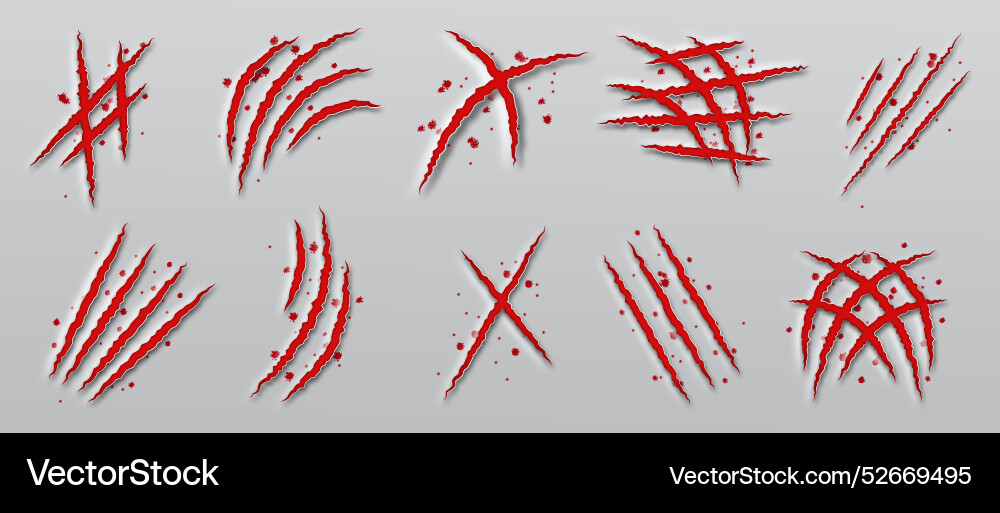 Claw scratch marks dinosaur nail paw tracks Vector Image