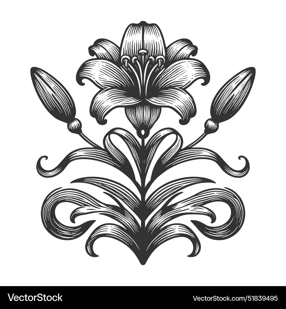 Elegant lily flower engraving Royalty Free Vector Image