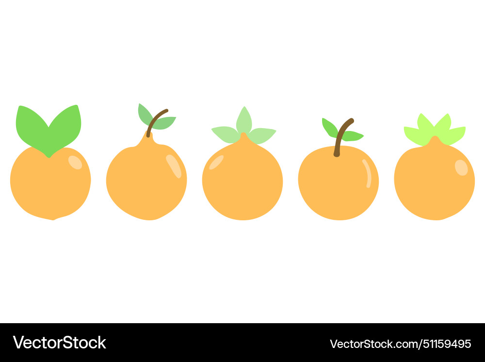 Simple orange fruit icon set Royalty Free Vector Image