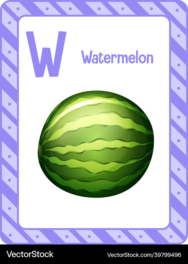 Alphabet flashcard with letter w for watermelon Vector Image