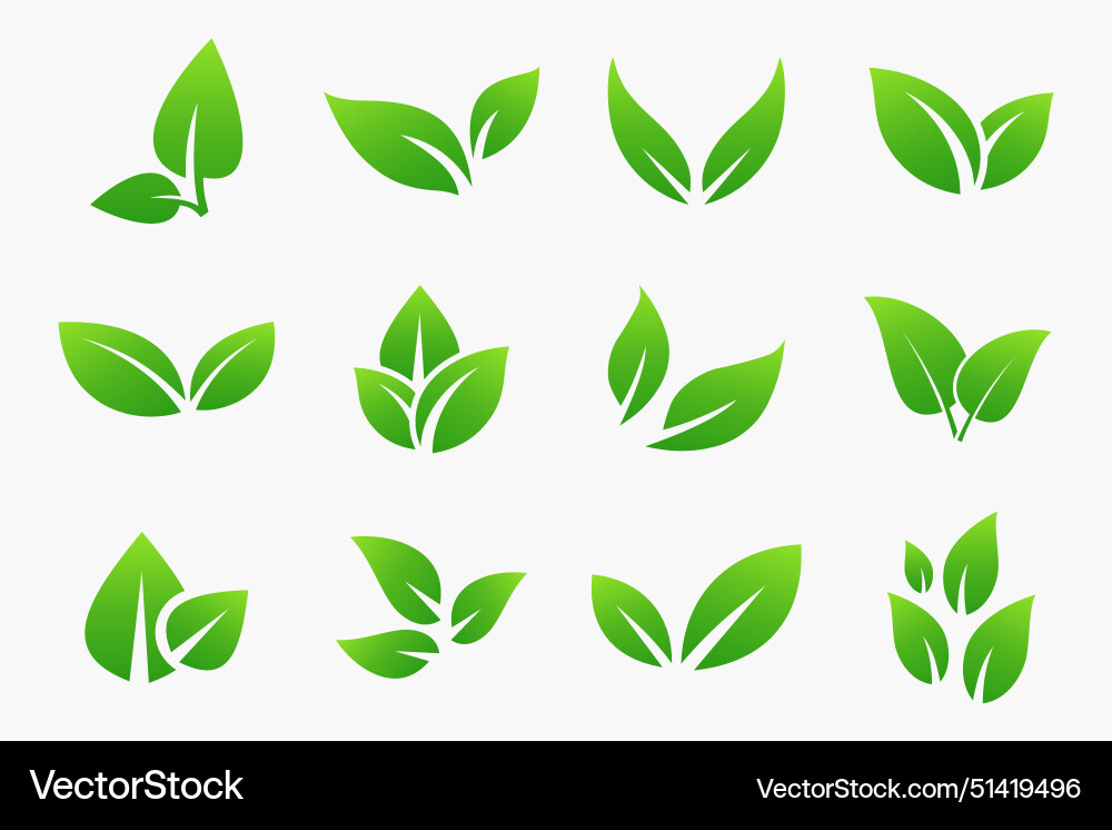 Green leaf icons set or leaves icon Royalty Free Vector