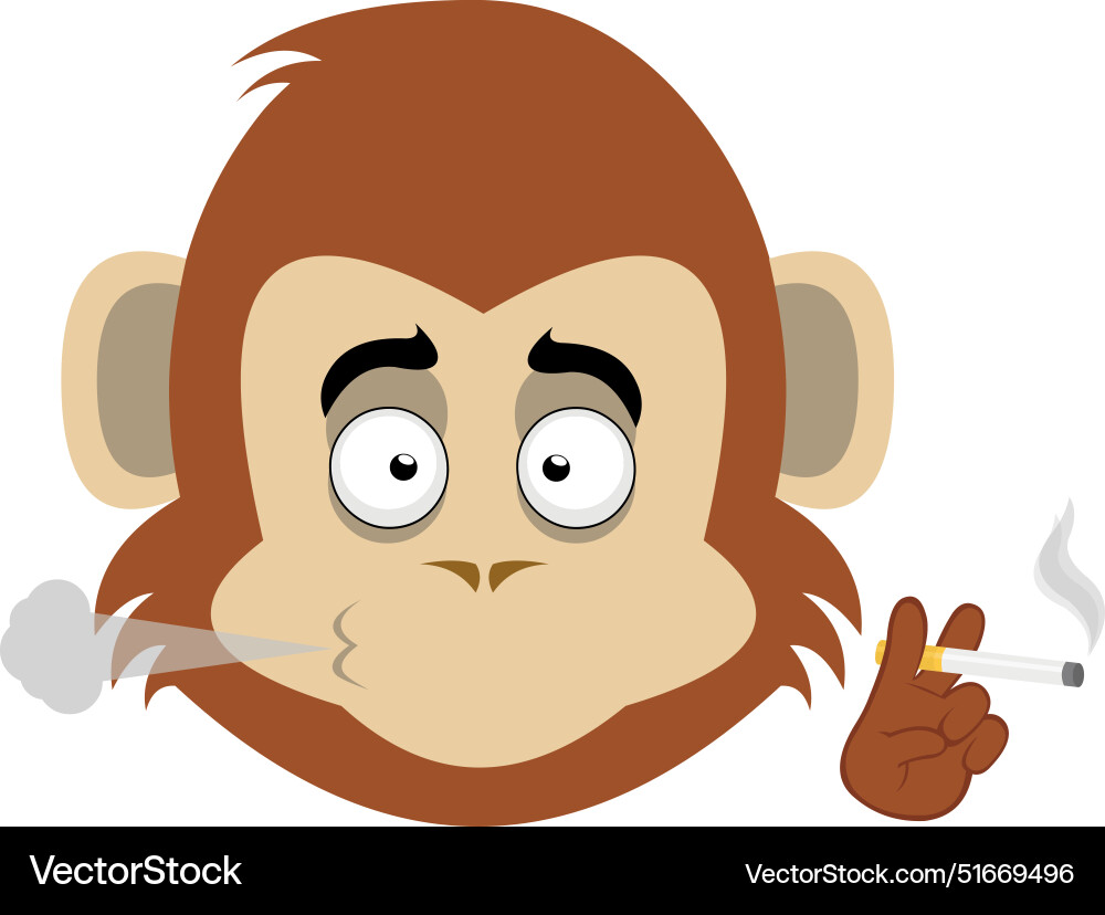 Monkey head smoking cigarette Royalty Free Vector Image