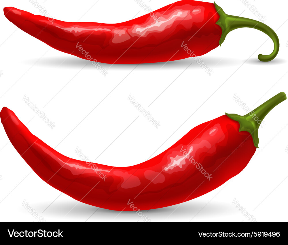 Pepper Royalty Free Vector Image - VectorStock
