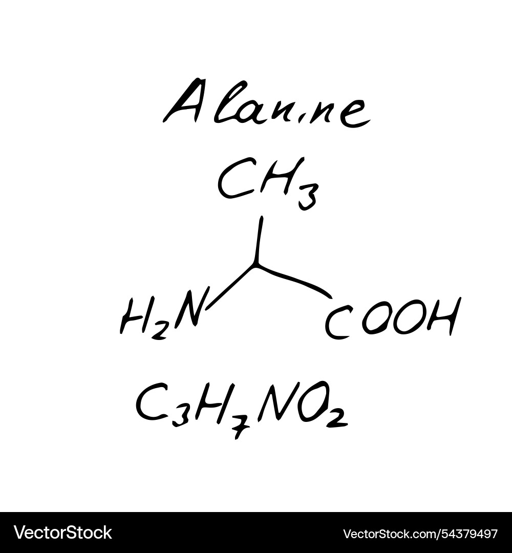 Alanine c3h7no2 molecule formula hand drawn Vector Image
