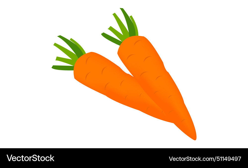 Carrot design and Royalty Free Vector Image - VectorStock