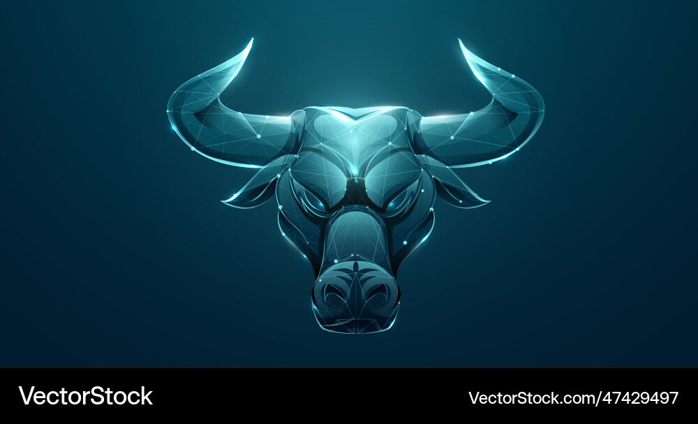 Low polygon and wireframe bulls head bullish Vector Image