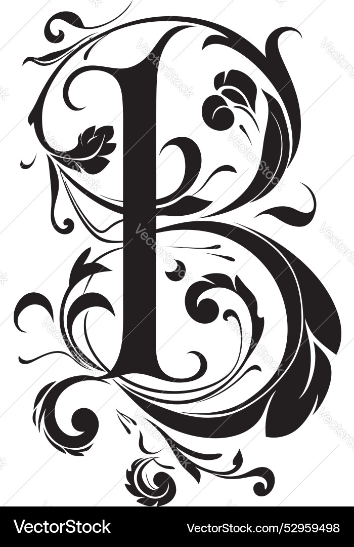 Bewildering elegance puzzling letter b font Vector Image