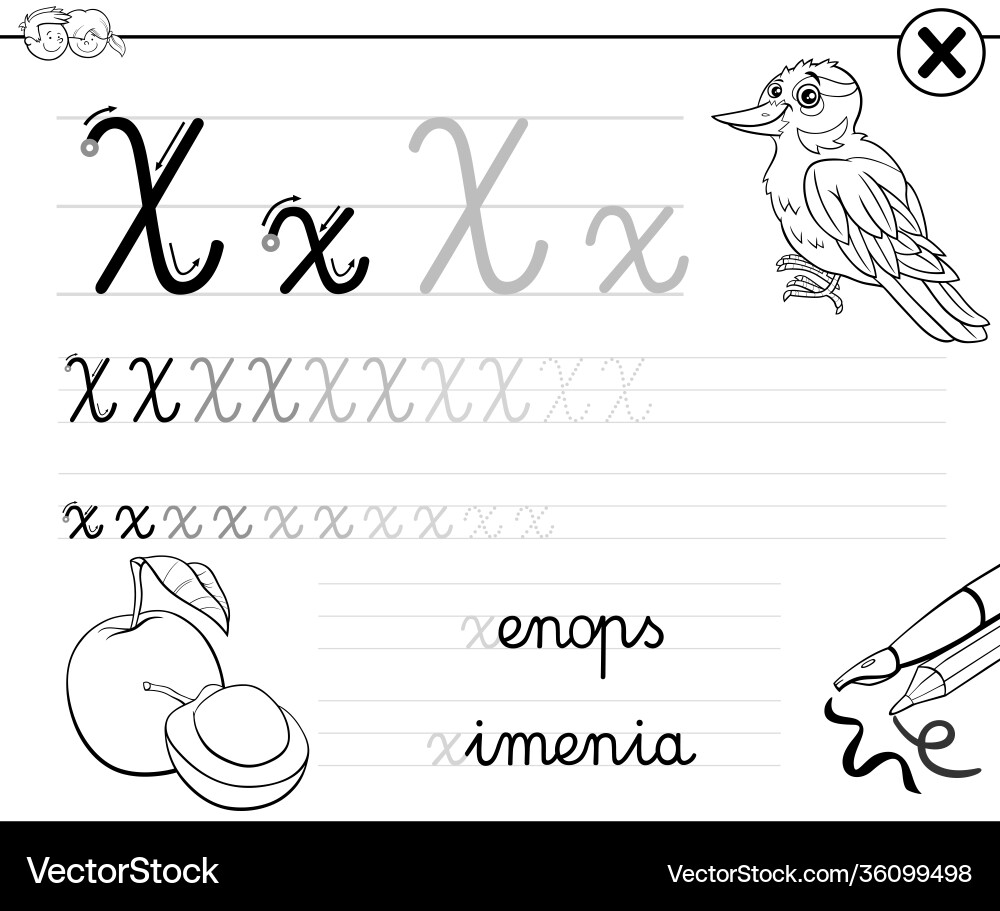Learn to write letter x workbook for children Vector Image