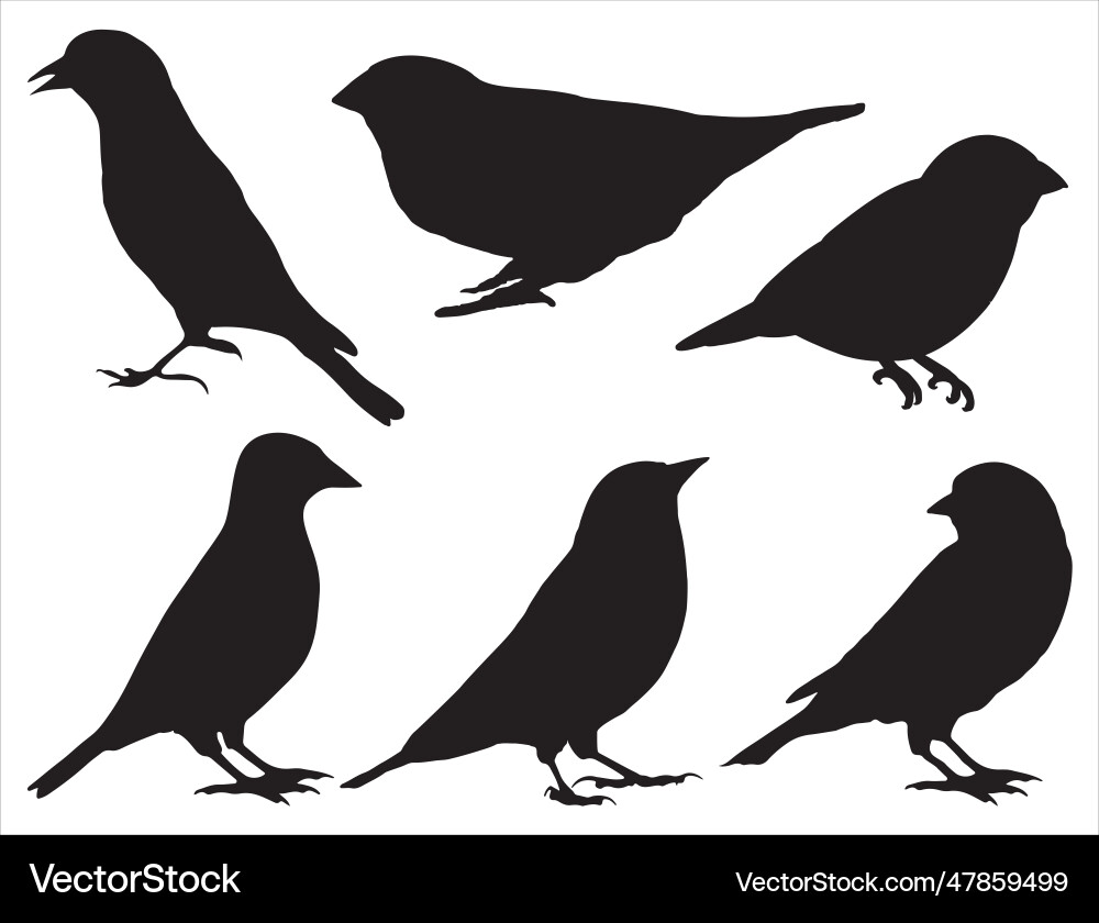 Finch bird silhouette Royalty Free Vector Image