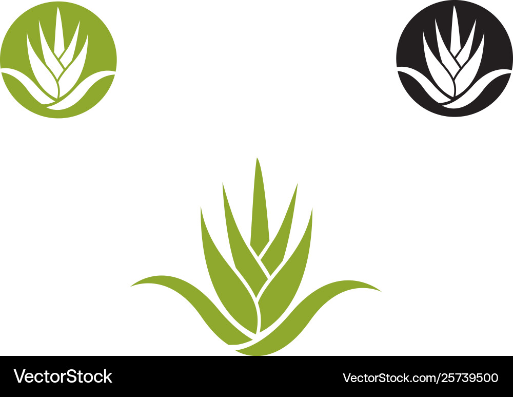 Agave Icon - Succulent Plant Royalty Free Vector Image