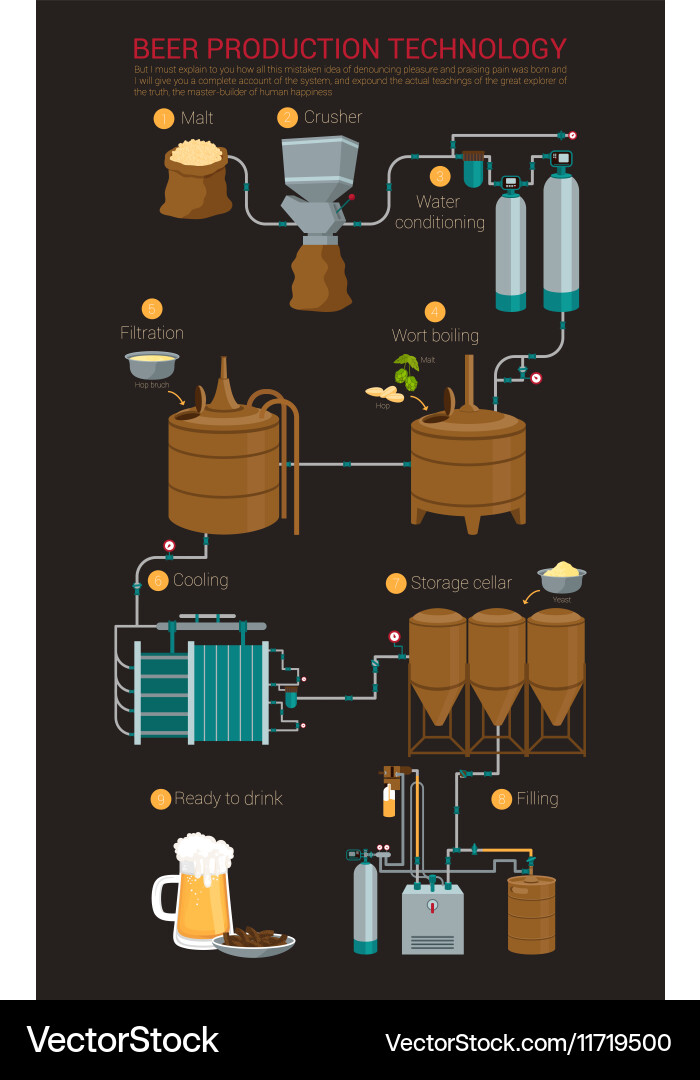 Beer production process infographic Royalty Free Vector