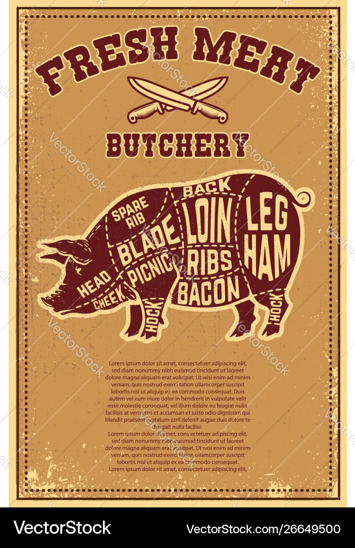 Fresh meat poster template with cut Royalty Free Vector