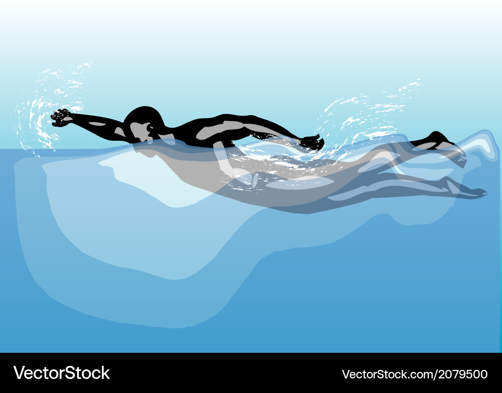 Swim Royalty Free Vector Image - VectorStock