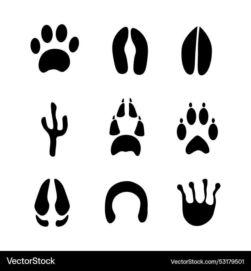 Animal tracks footprints icons set eps 10 Vector Image