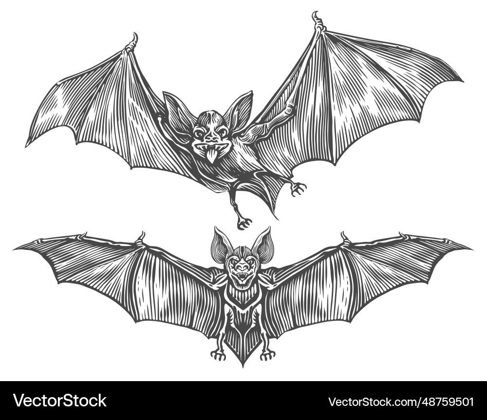 Flying Vampire Bats