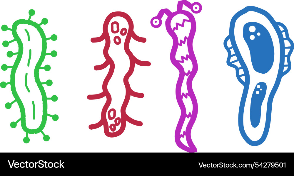 Kind of bacteria Royalty Free Vector Image - VectorStock