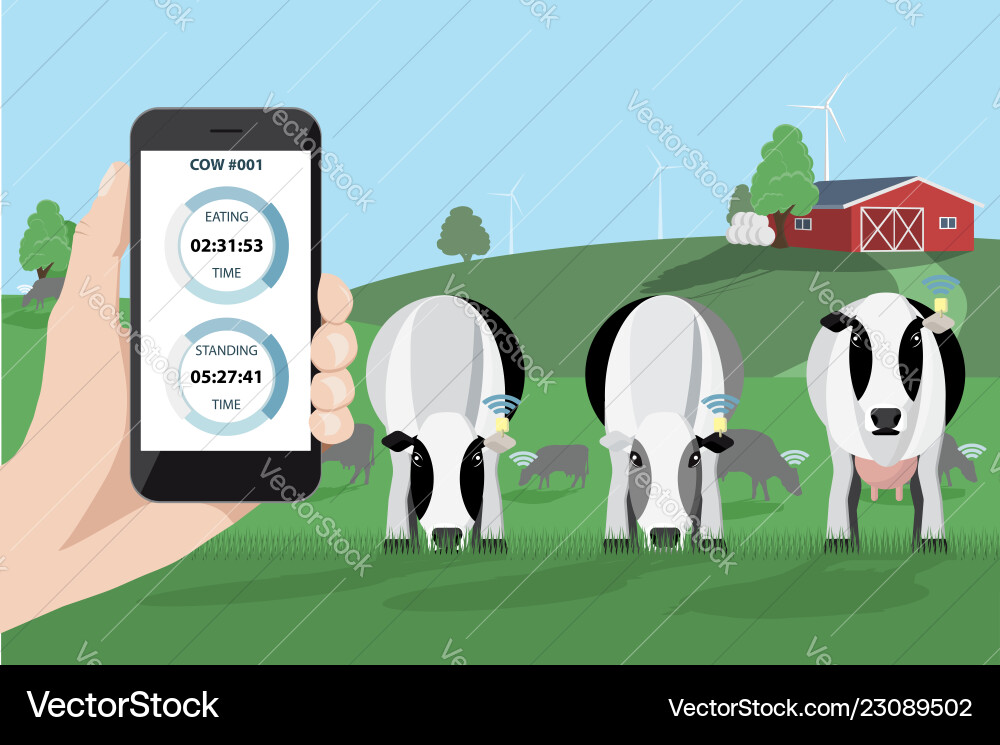 Control of a herd cows on dairy farm Royalty Free Vector