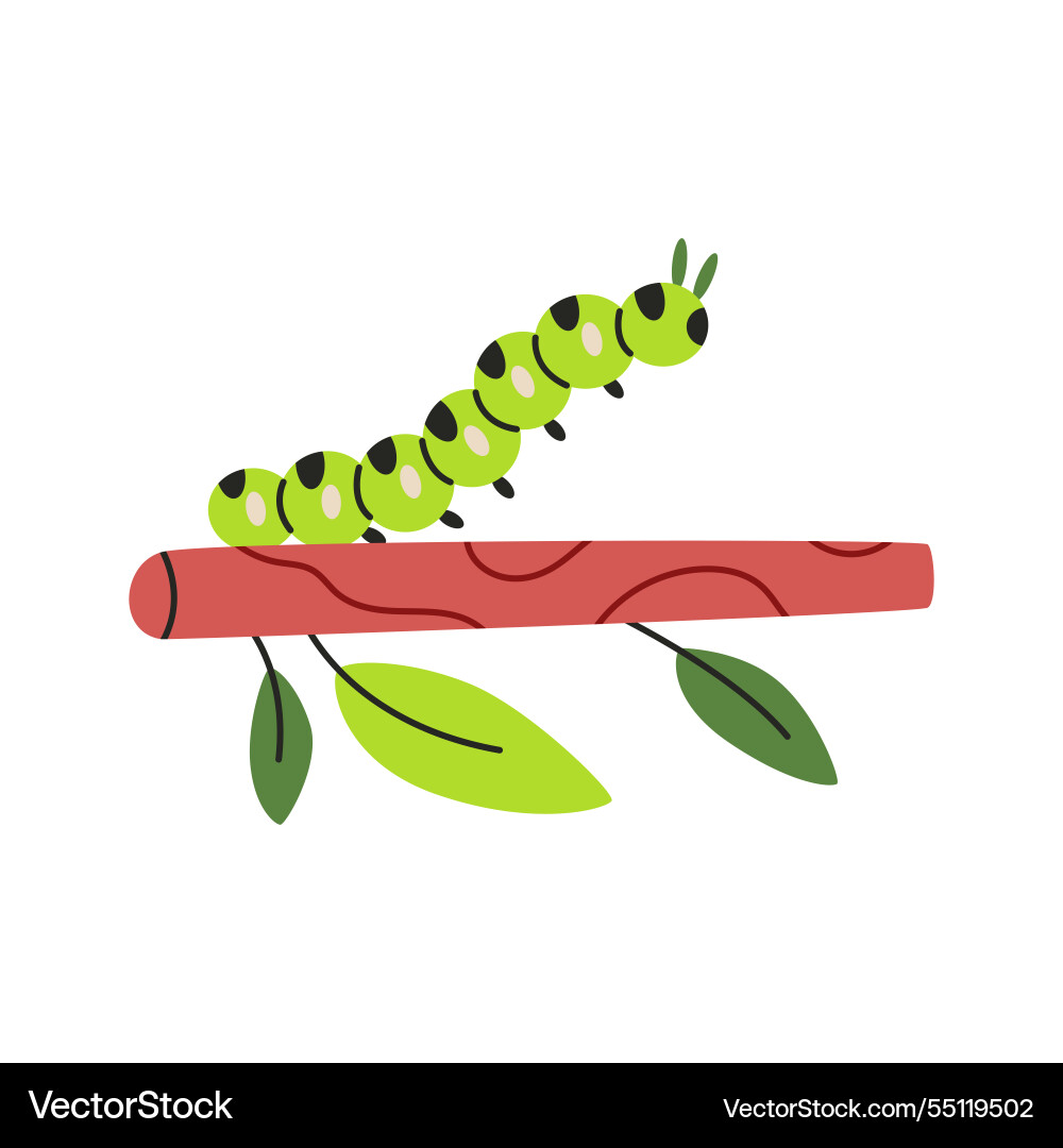Green caterpillar insect Royalty Free Vector Image