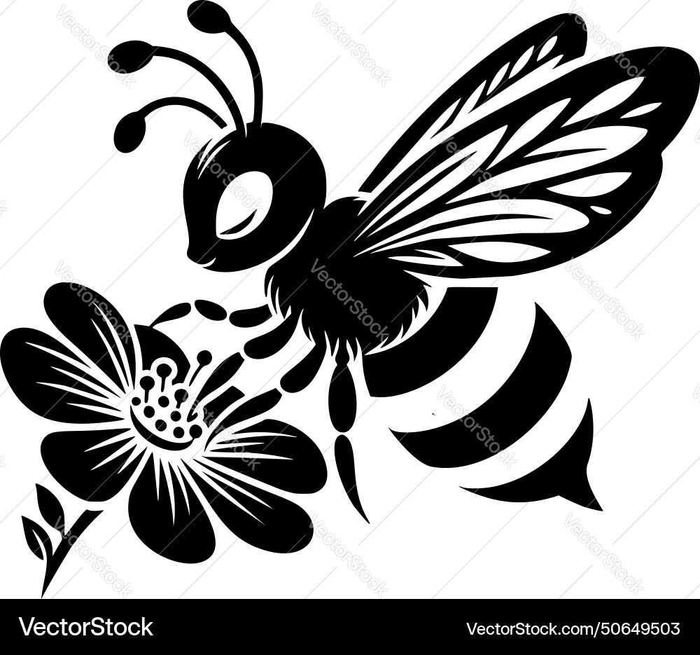 Bee collecting nectar from flower Royalty Free Vector Image