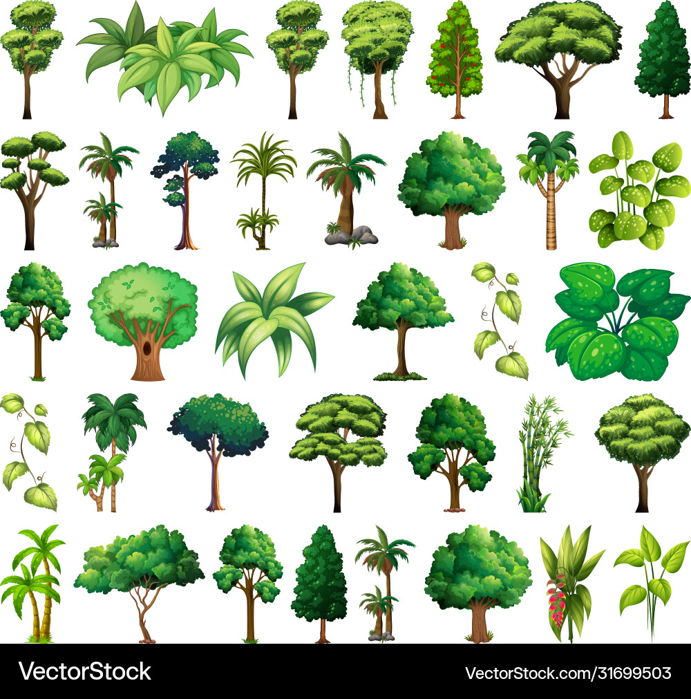 Set variety plants and trees Royalty Free Vector Image