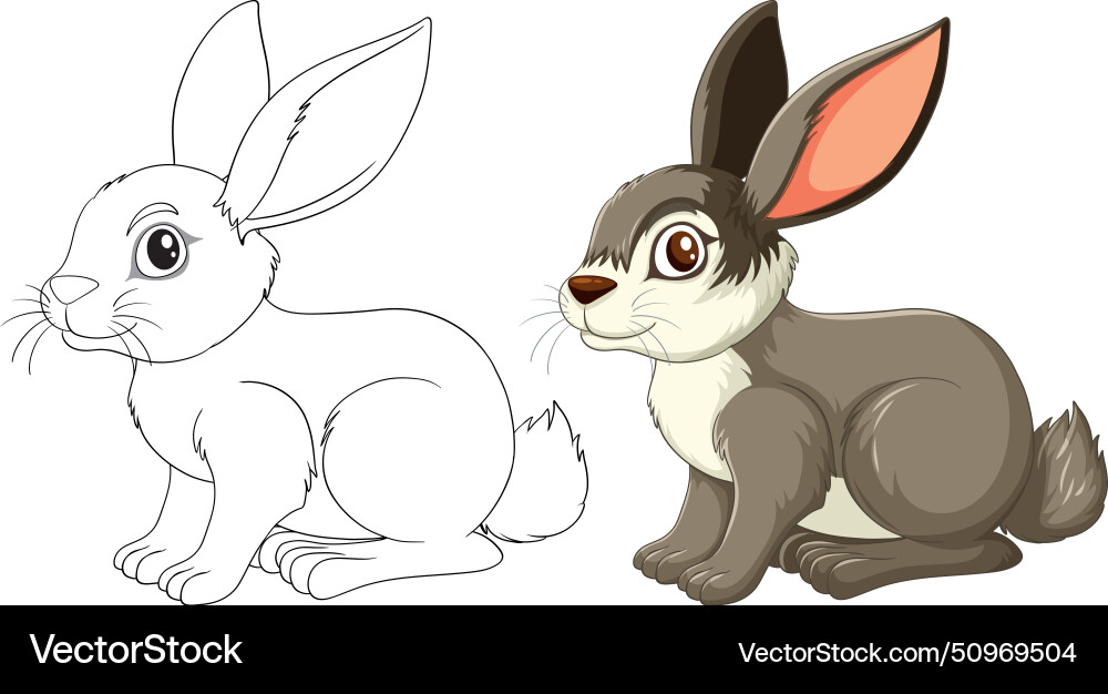 Side-by-side comparison of rabbit drawing stages Vector Image