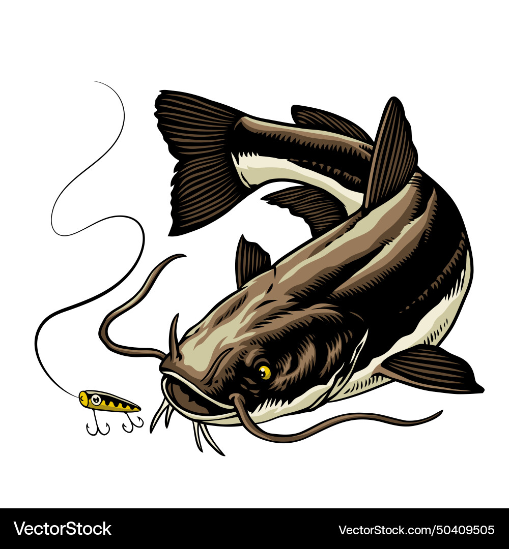 Hand drawn of catching catfish isolated Royalty Free Vector