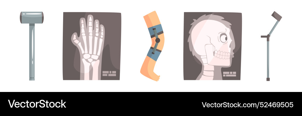Human bone and joint fracture rehabilitation Vector Image