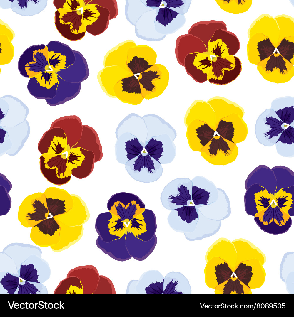 Viola pattern Royalty Free Vector Image - VectorStock