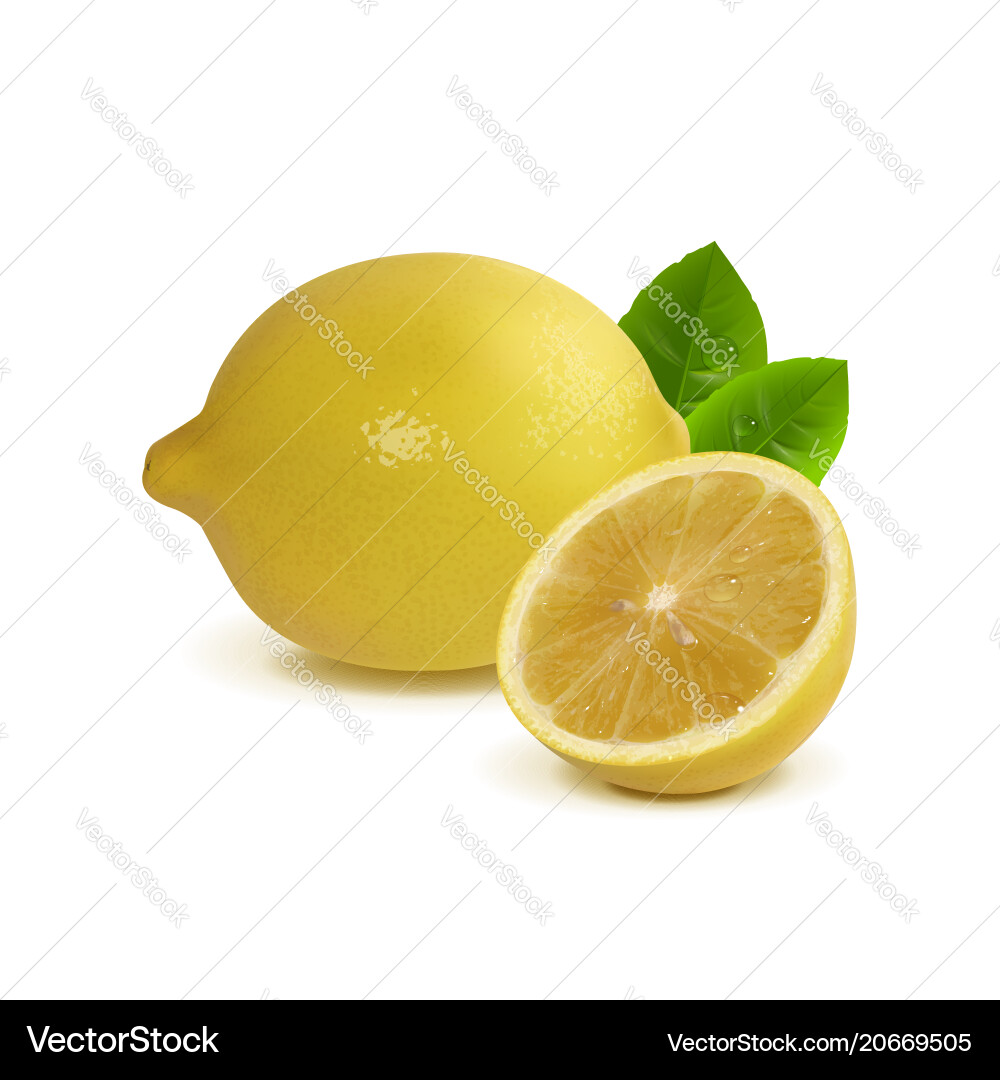 Whole lemon and half Royalty Free Vector Image