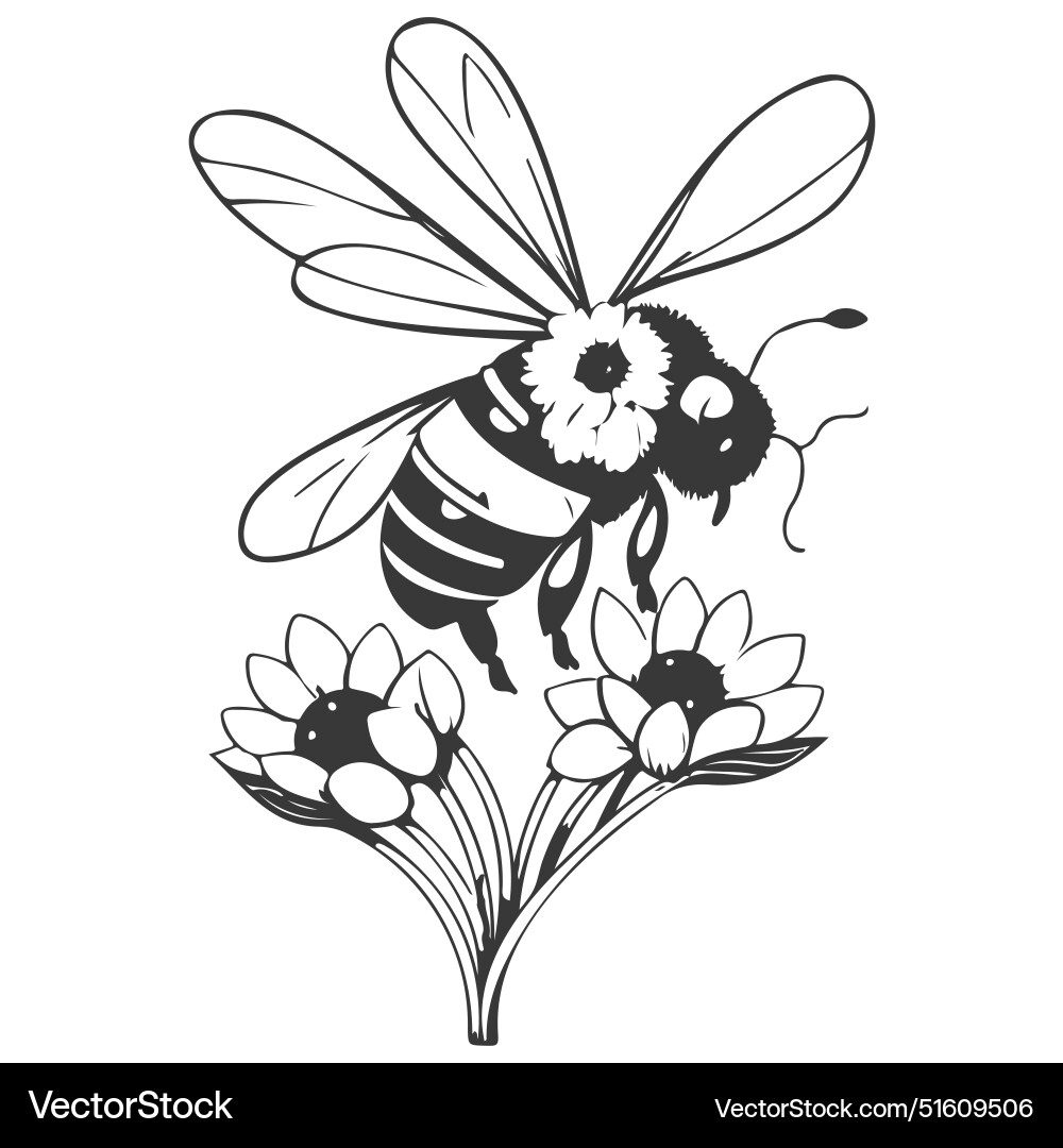Bee on flower spring grey Royalty Free Vector Image