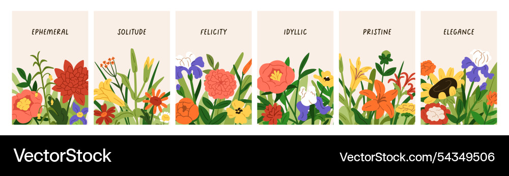 Flowers card designs set floral botanical Vector Image