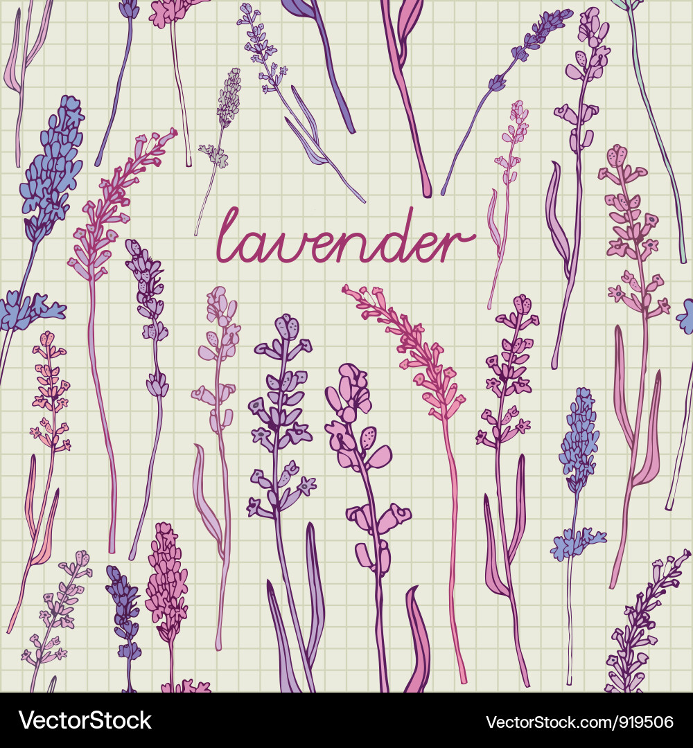 Lavender pattern background Royalty Free Vector Image