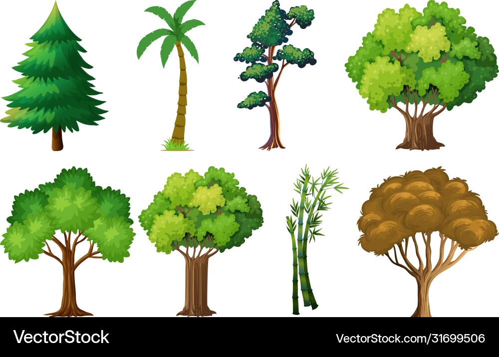 Set variety plants and trees Royalty Free Vector Image
