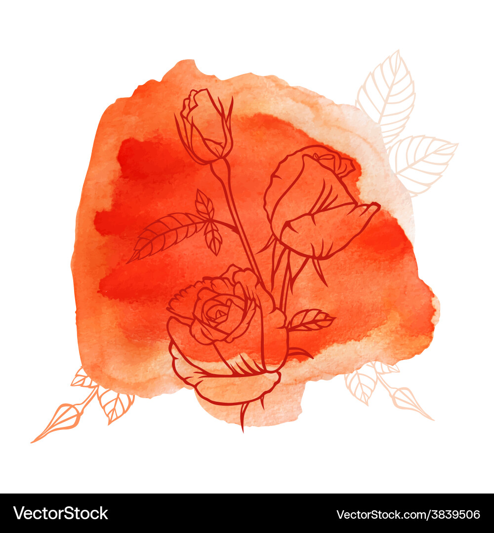 Watercolor Rose Background Royalty Free Vector Image