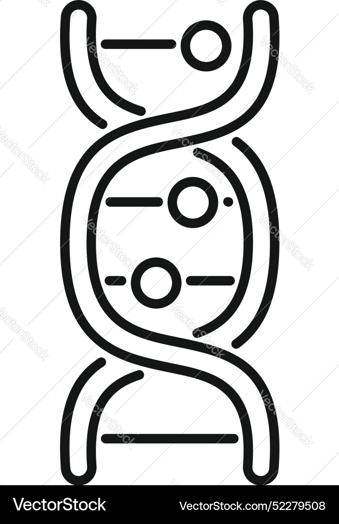 Dna structure forming double helix with connected Vector Image