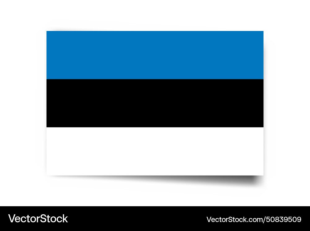 Rectangle flag of estonia Royalty Free Vector Image