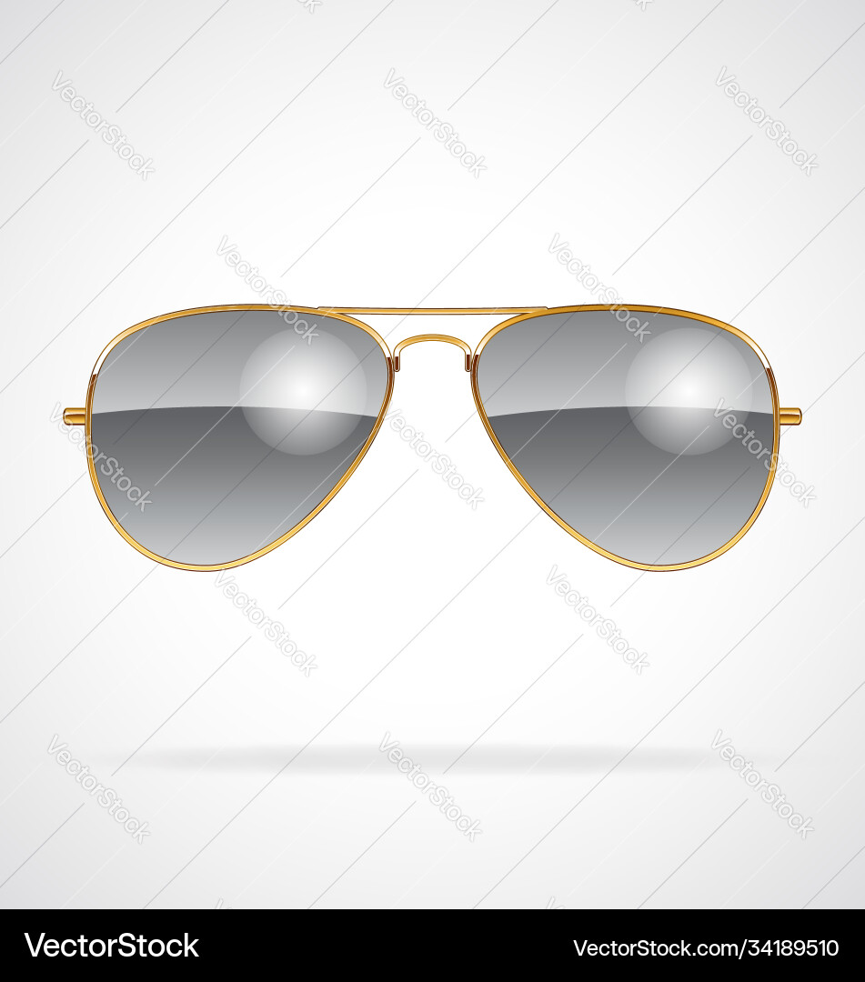 Chrome Aviator Sunglasses Royalty Free Vector Image