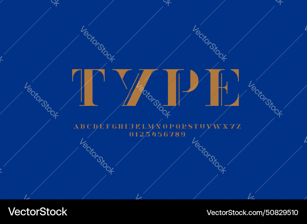 Elegant alphabet decorative font Royalty Free Vector Image
