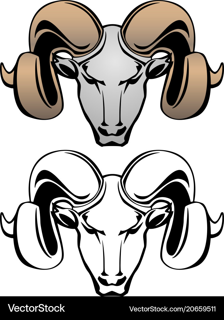 Ram head Royalty Free Vector Image - VectorStock