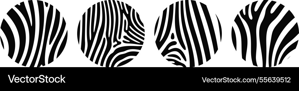 Zebra texture Royalty Free Vector Image - VectorStock