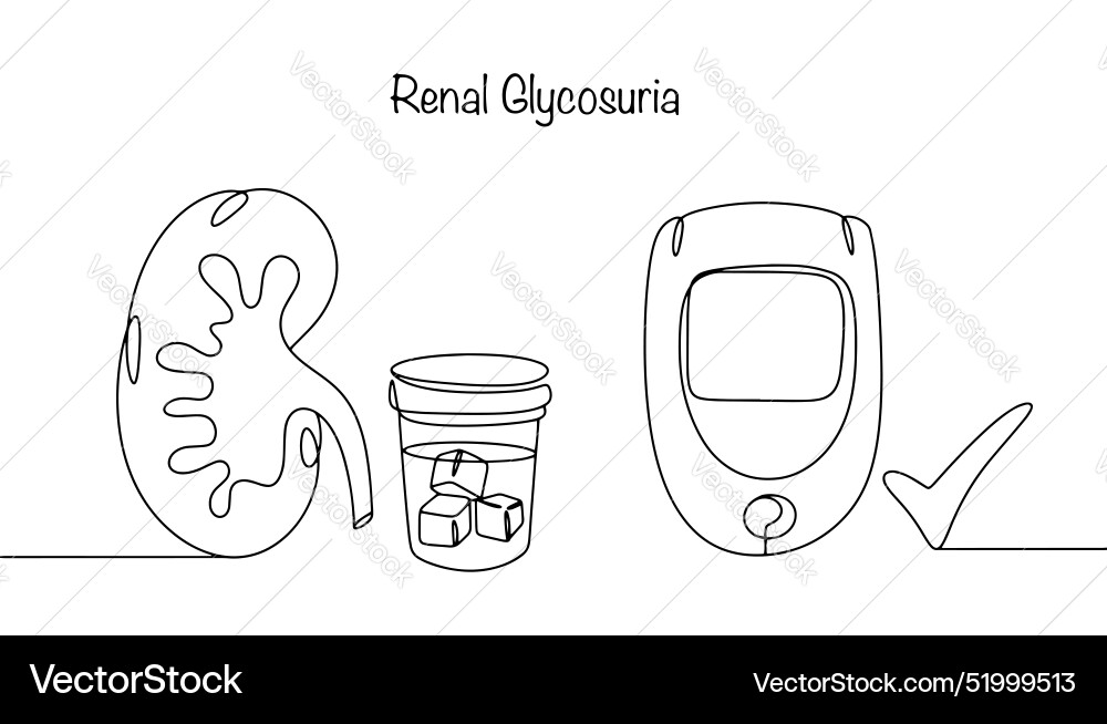 Renal glycosuria Royalty Free Vector Image - VectorStock