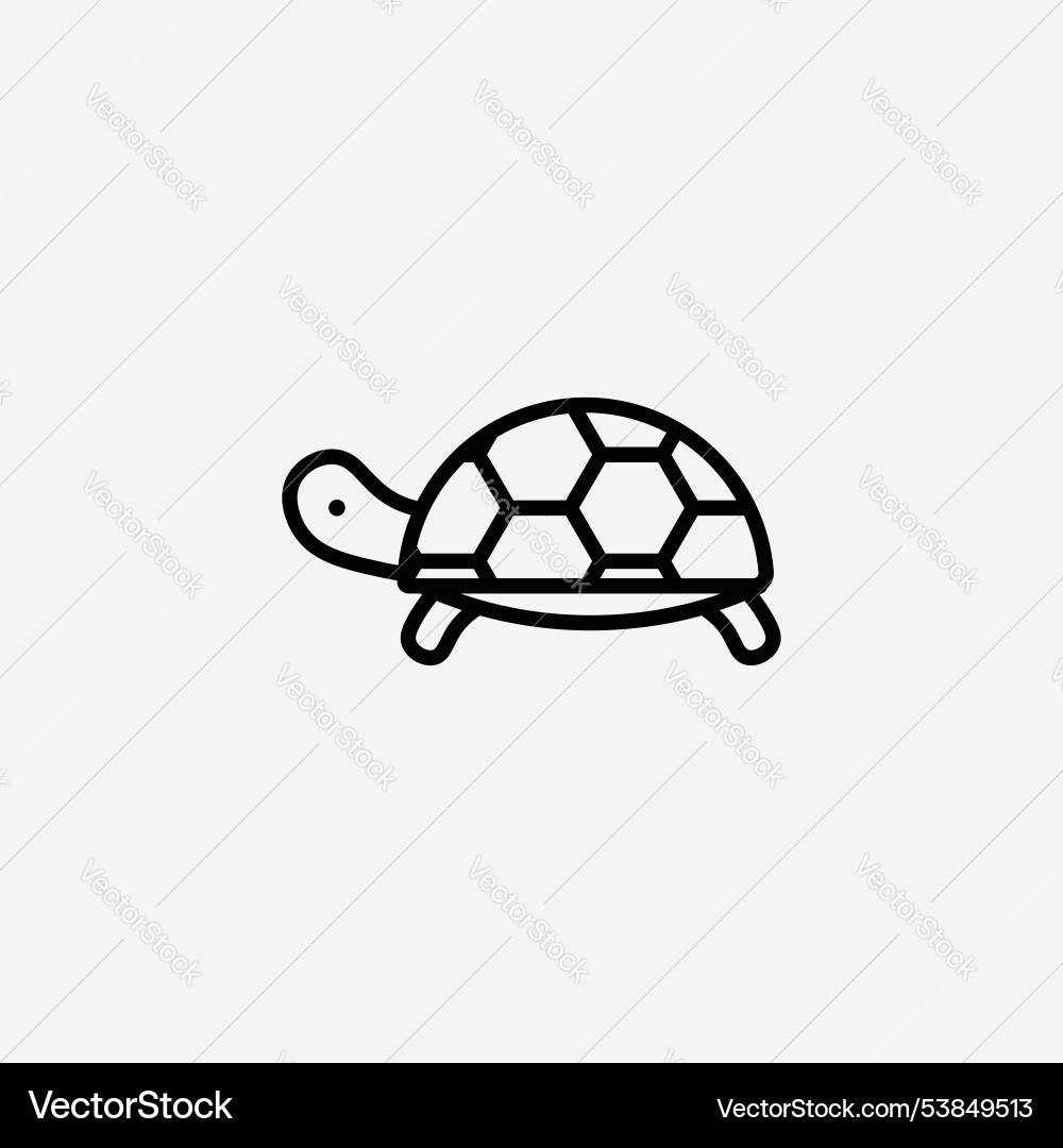 Tortoise icon set Royalty Free Vector Image - VectorStock
