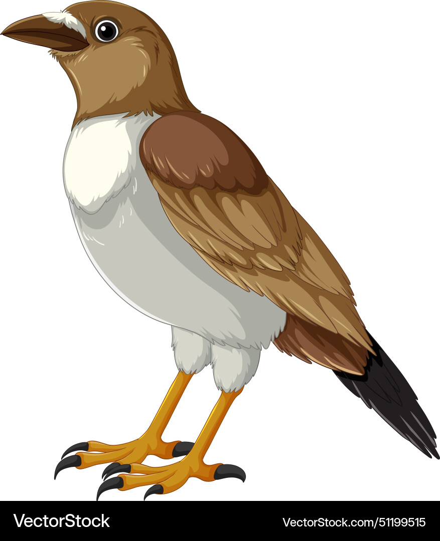 Colorful realistic bird art standing Royalty Free Vector